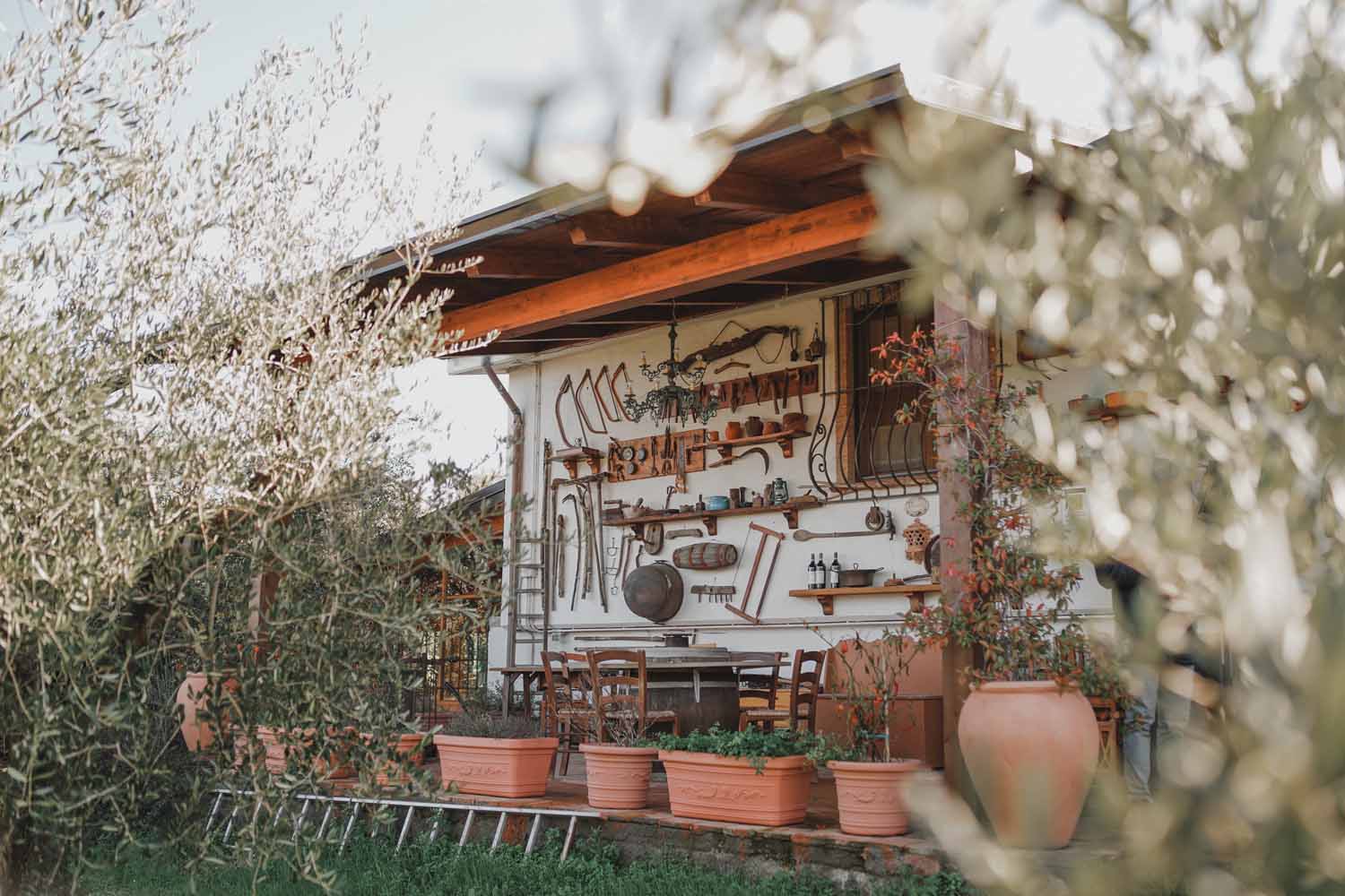 Photogallery - Fattoria Maria Petrillo