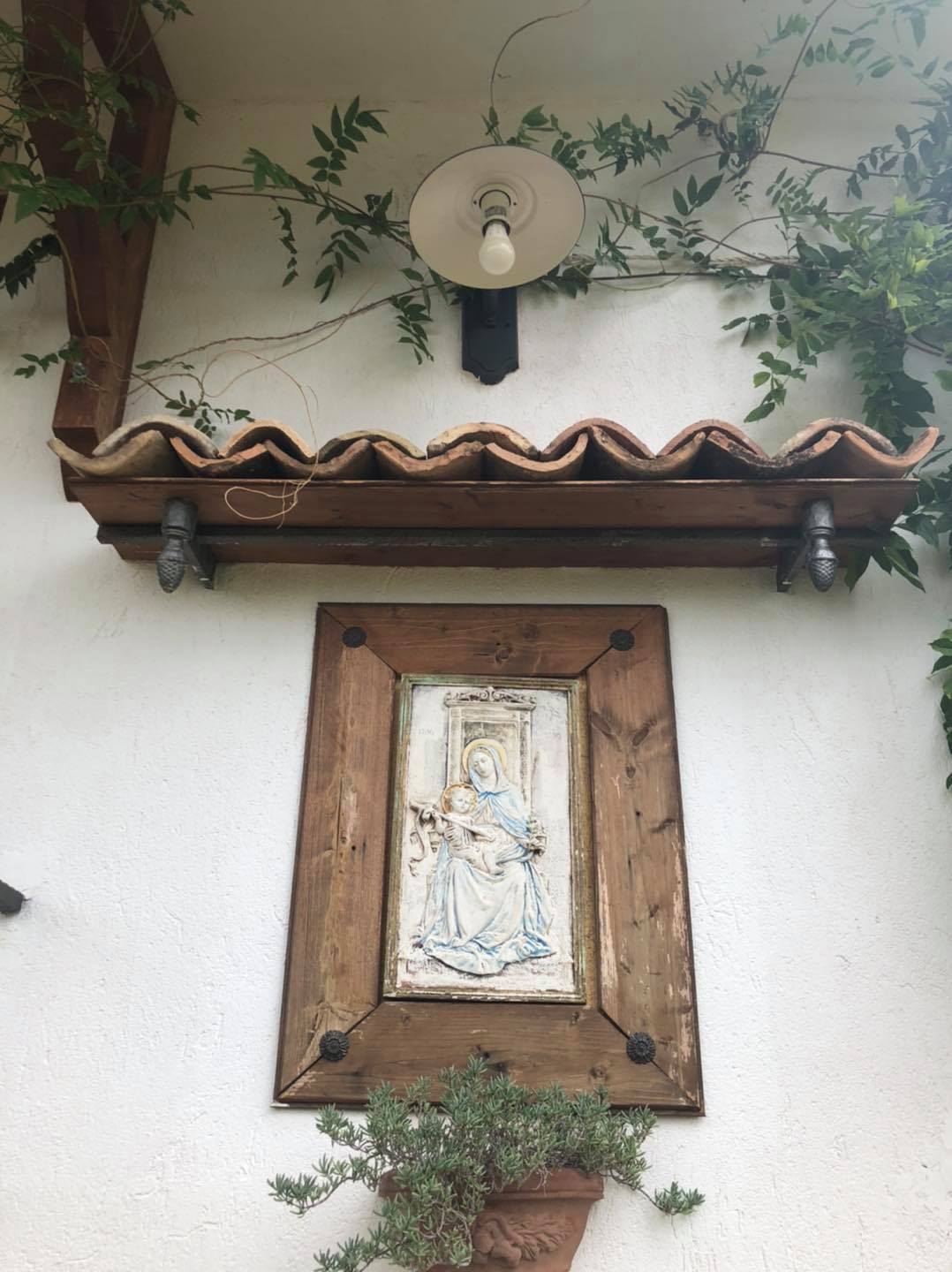 Photogallery - Fattoria Maria Petrillo